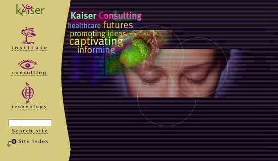 Kaiser Consulting WWW Design